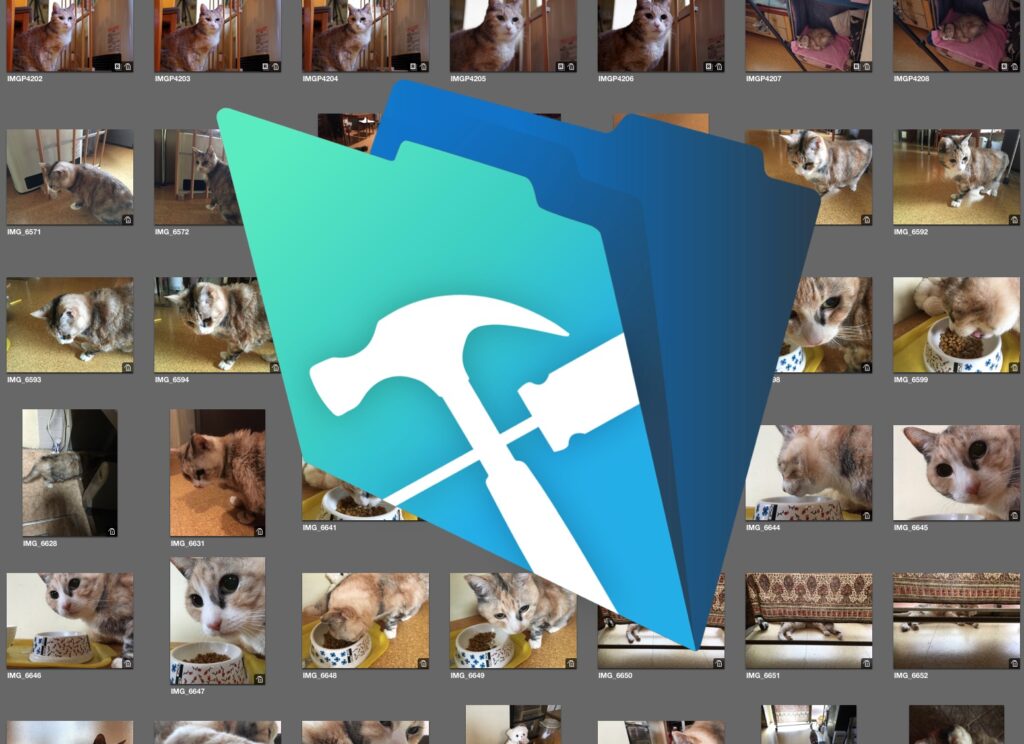 FileMakerでメディア管理 ポップアップでスクリプト – DigitalBoo