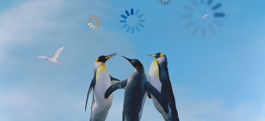 FileMaker ウインドウサイズを調整する – DigitalBoo